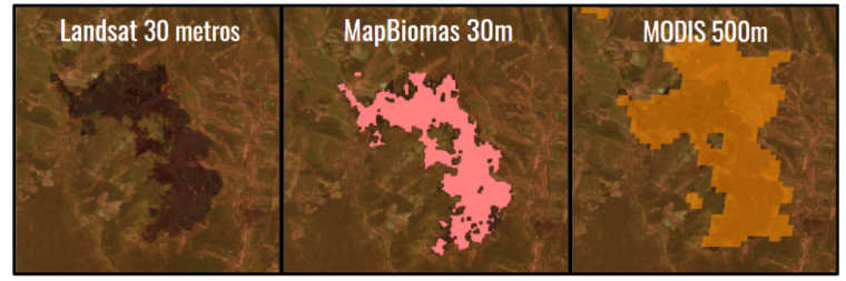 MapBiomas Brasil
