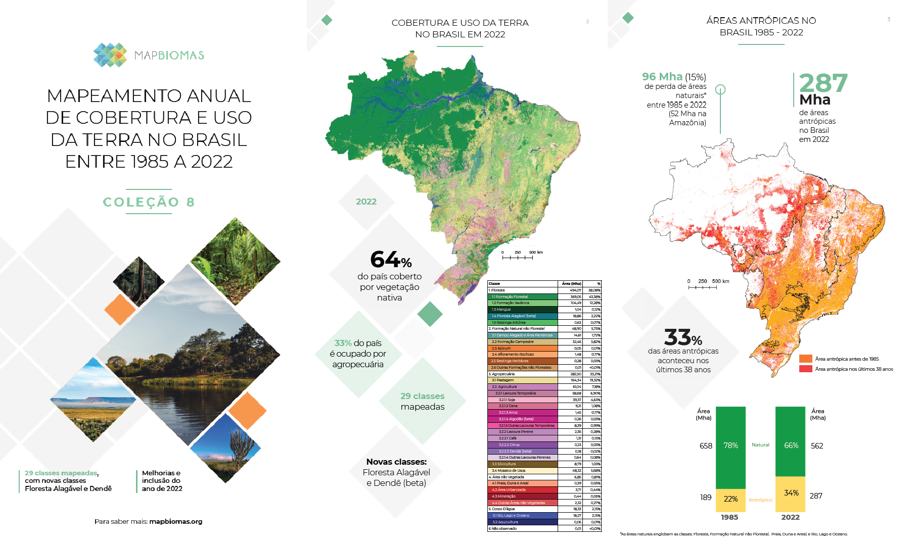 MapBiomas Brasil