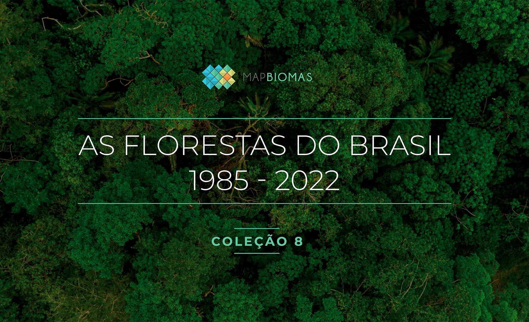 MapBiomas Brasil