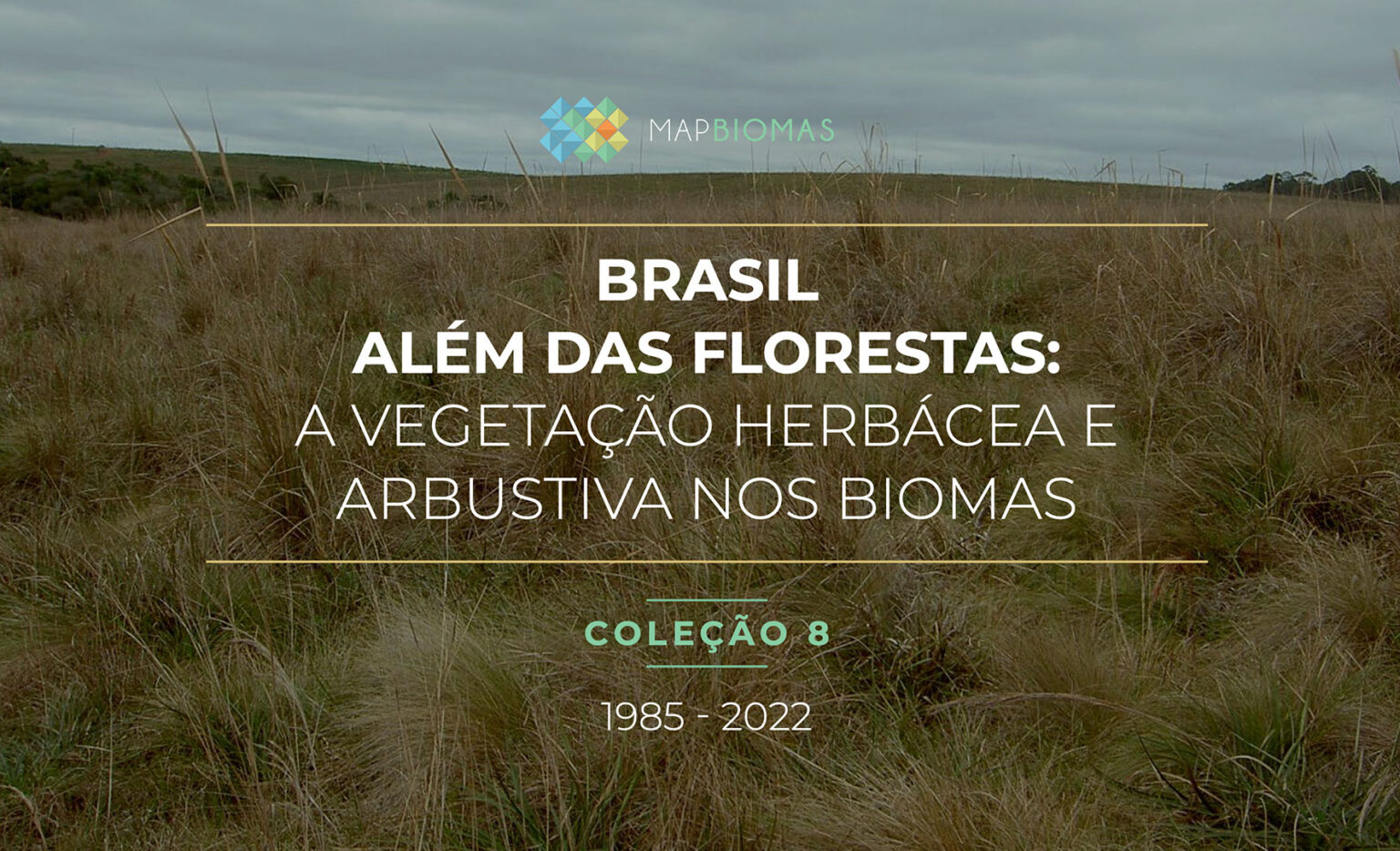 MapBiomas Brasil