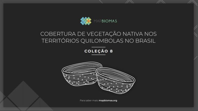 MapBiomas Brasil