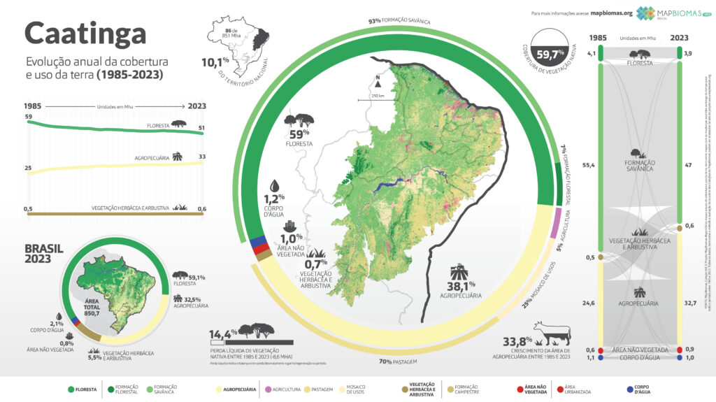 MapBiomas Brasil