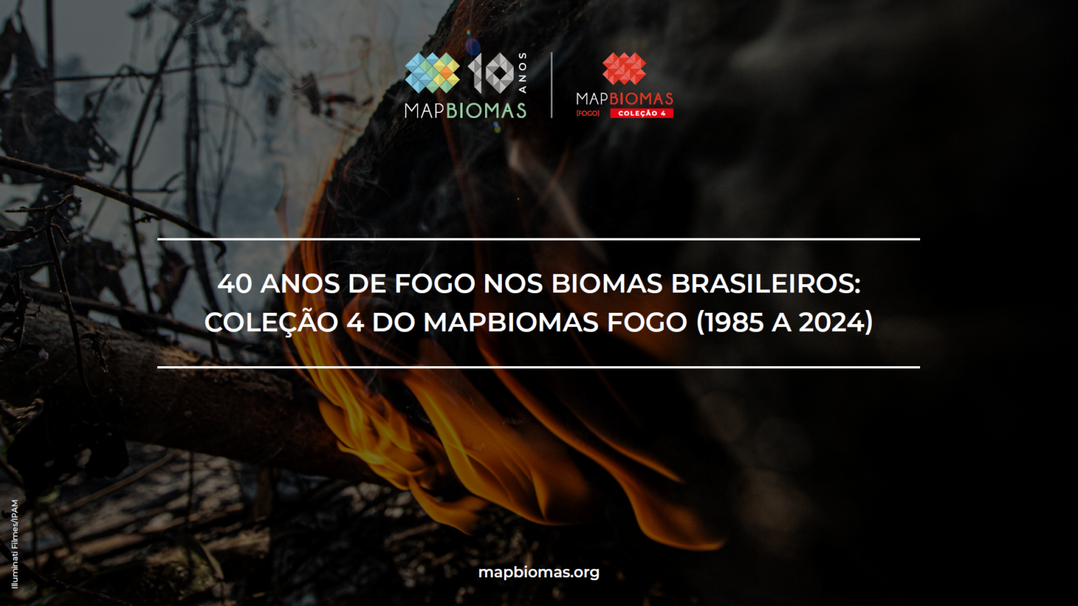 MapBiomas Brasil