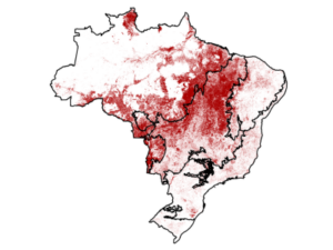 MapBiomas Brasil
